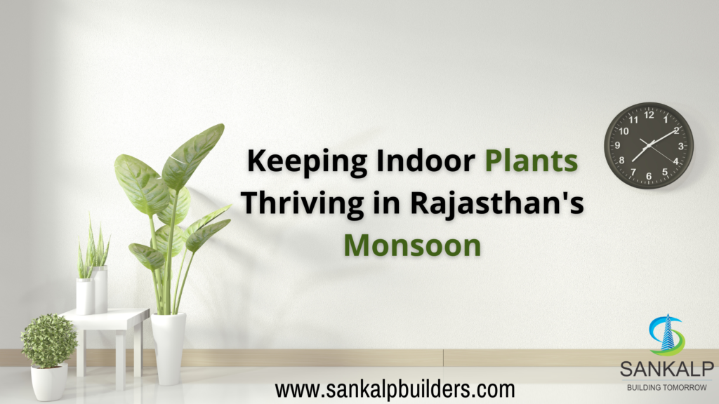 Rajasthan's Monsoon